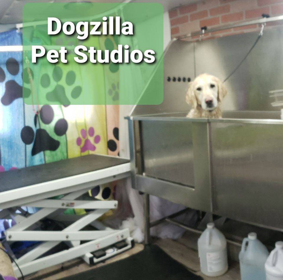 Online booking - Dogzilla Pet Studios LLC