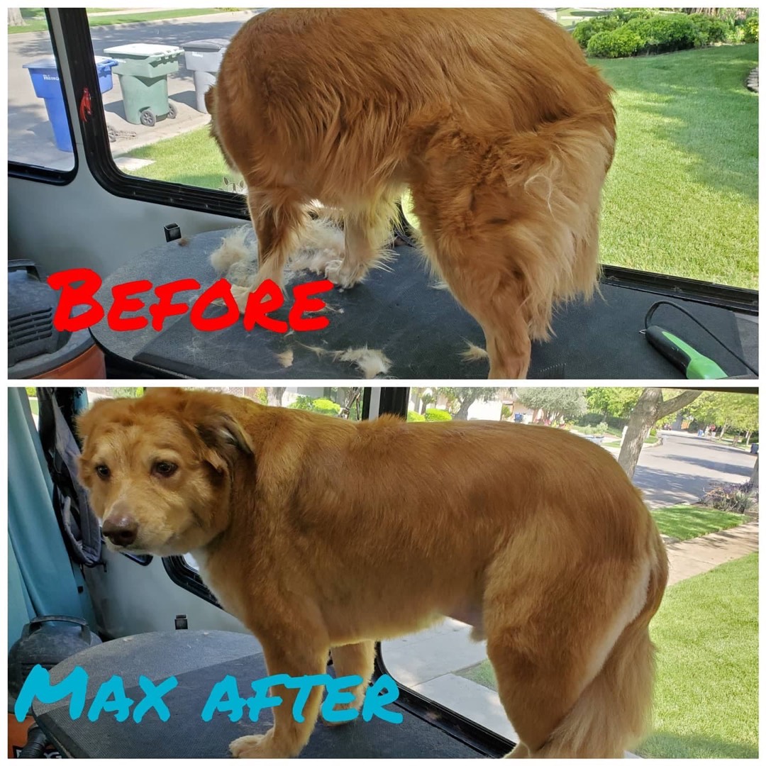 Online booking - Bark Bath and Beyond Pet Grooming