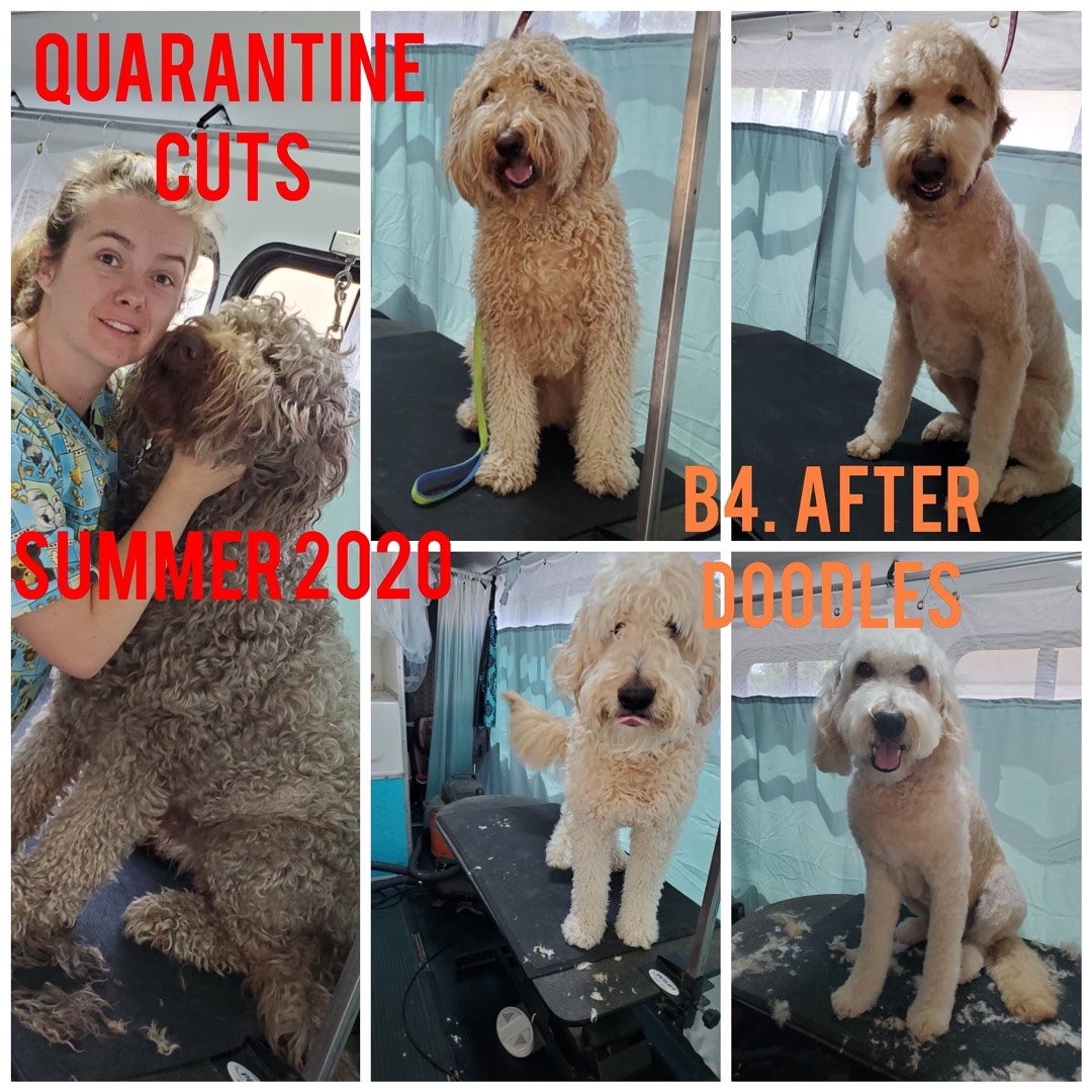 Online booking - Bark Bath and Beyond Pet Grooming