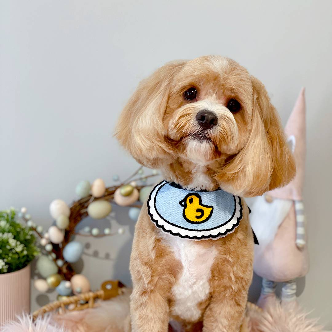 Online booking - Pawsitive Pet Grooming