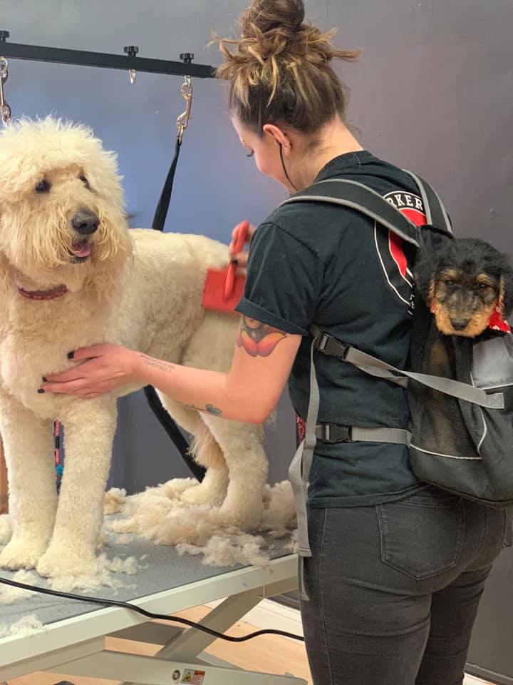 Online booking - Barkers Barbershop for Dogs