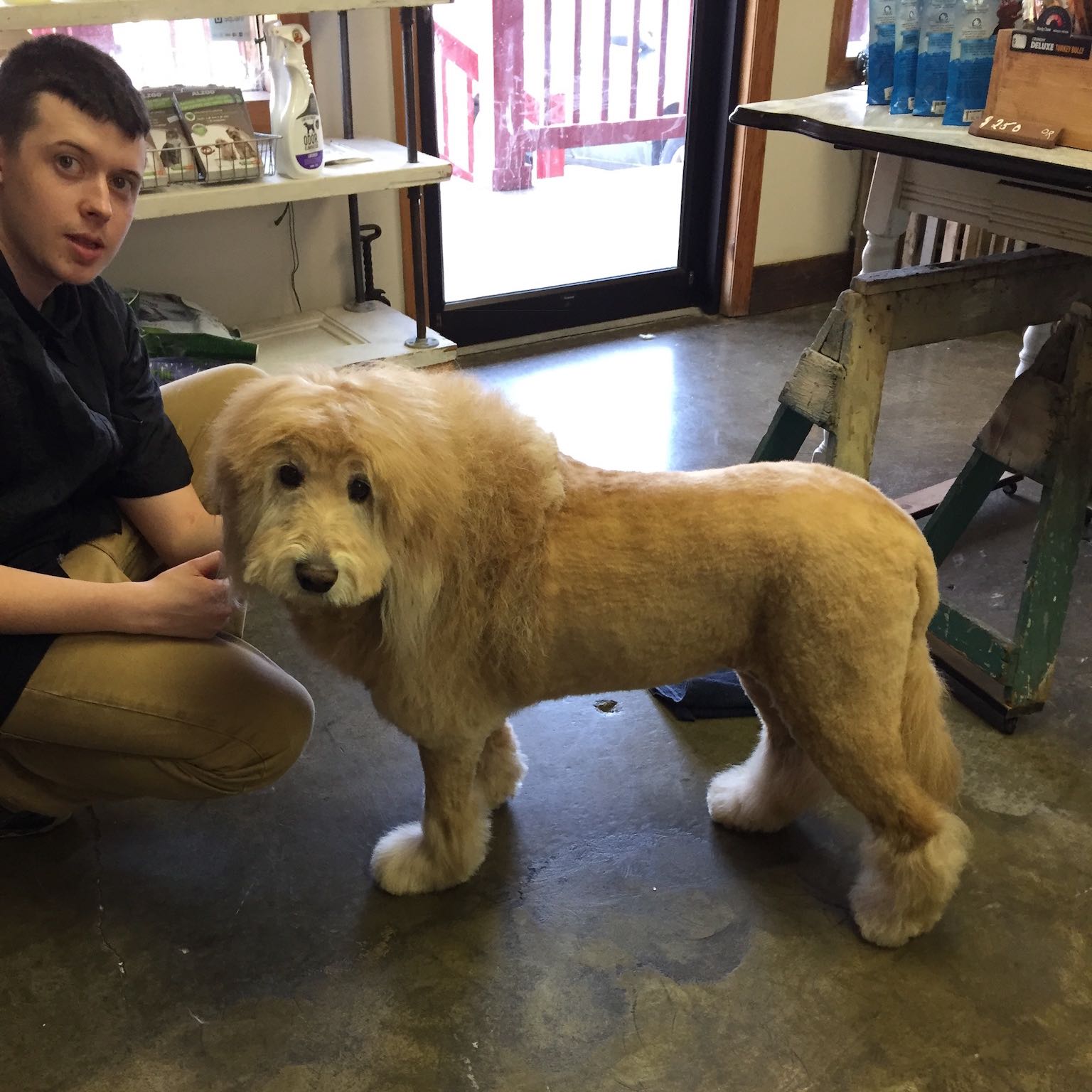 intake form - Healthy Dog Mobile Grooming Spa