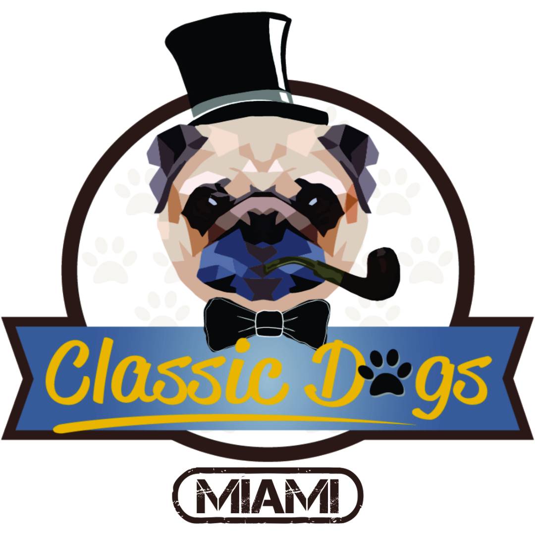 Information form - Classic Dogs Miami Mobile Grooming & Store