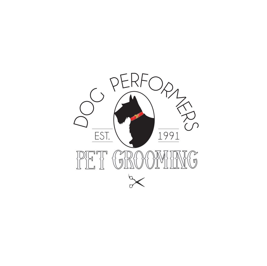 Intake form - Dog Performers